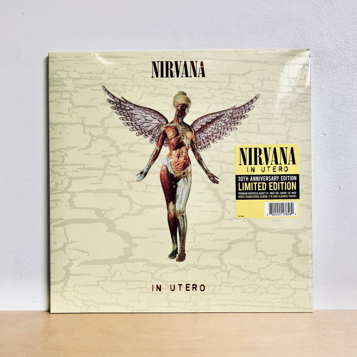 Nirvana - In Utero. 2LP (30th Anniversary Edition, 2023 Remaster) – Abicus