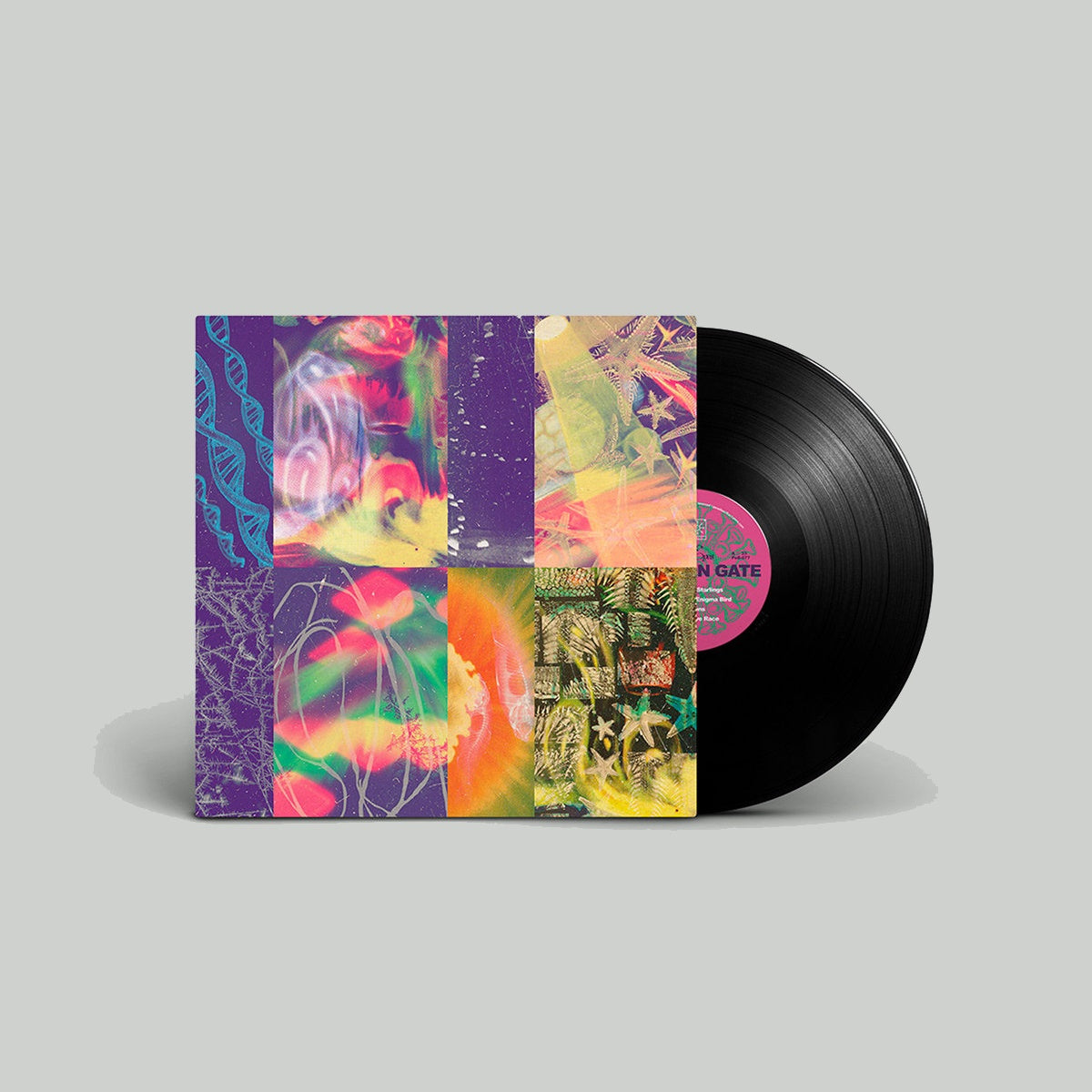 Nap Eyes - Neon Gate. LP – Abicus