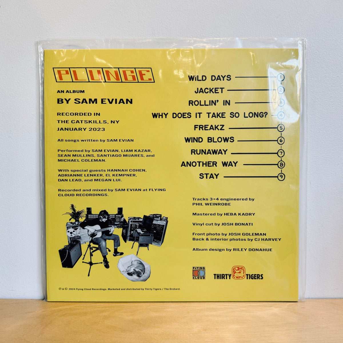 Sam Evian - Plunge. LP – Abicus