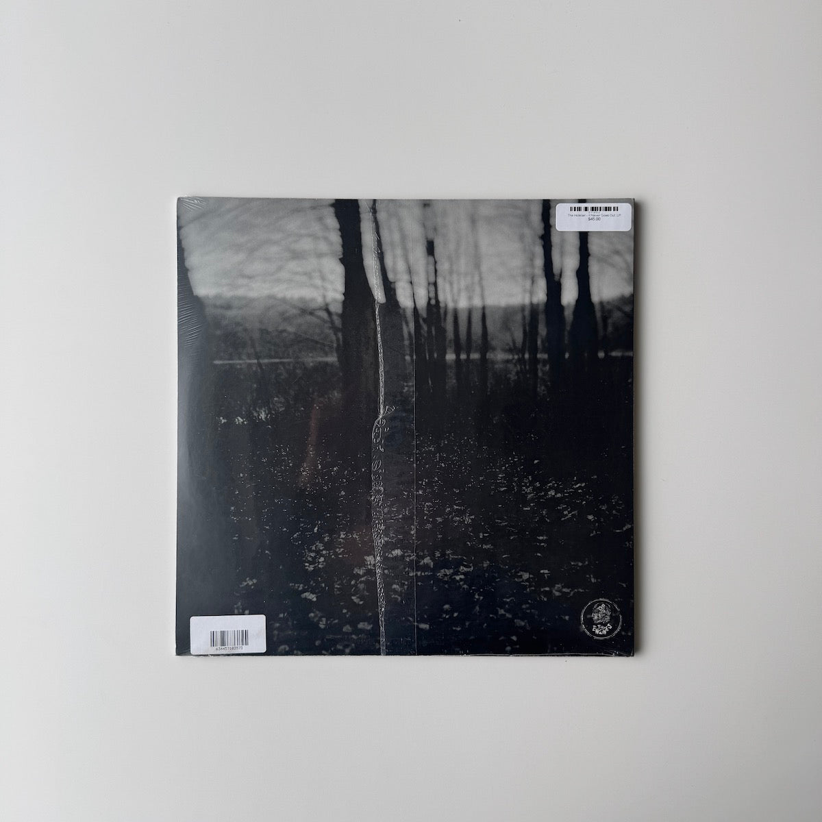 The Hotelier - It Never Goes Out. LP – Abicus