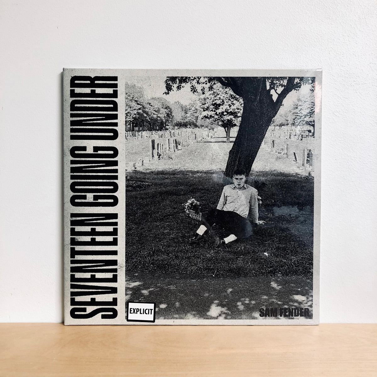 Sam Fender - Seventeen Going Under. LP – Abicus
